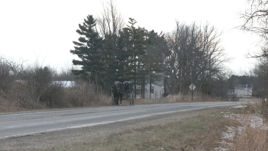 Man, two kids injured in Hillsdale Amish buggy crash