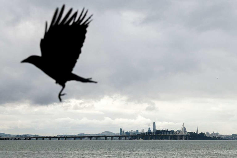 California storm: Latest forecast for peak impacts as winds expected to ...