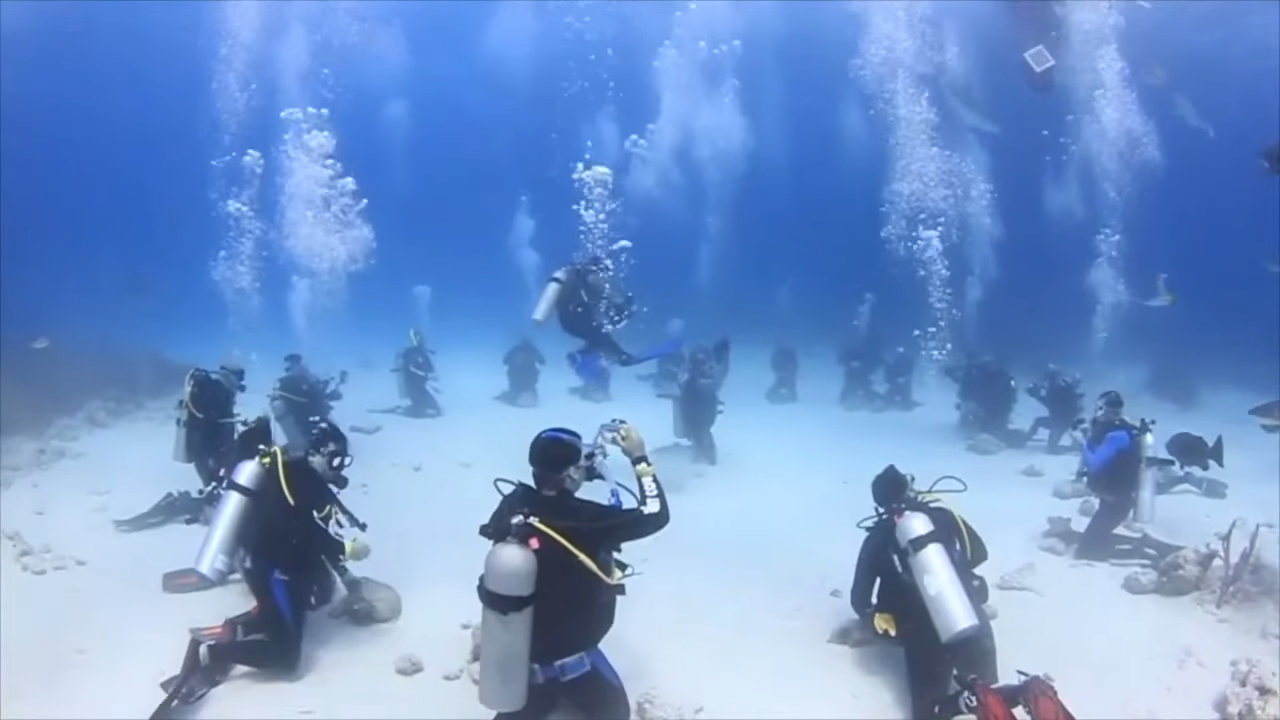 These sharks realized that tourists are food... it didn't end well