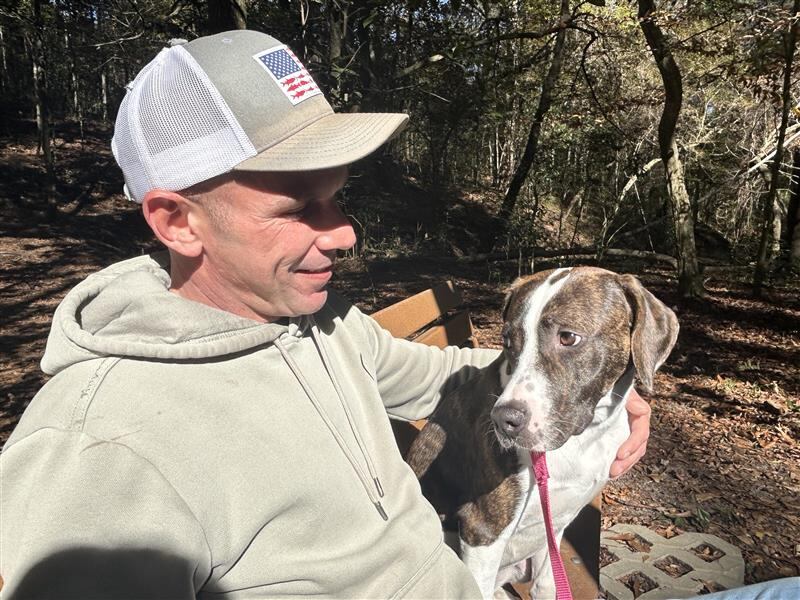 Furry Friday: Tails wagging in year two as adoptions top 300