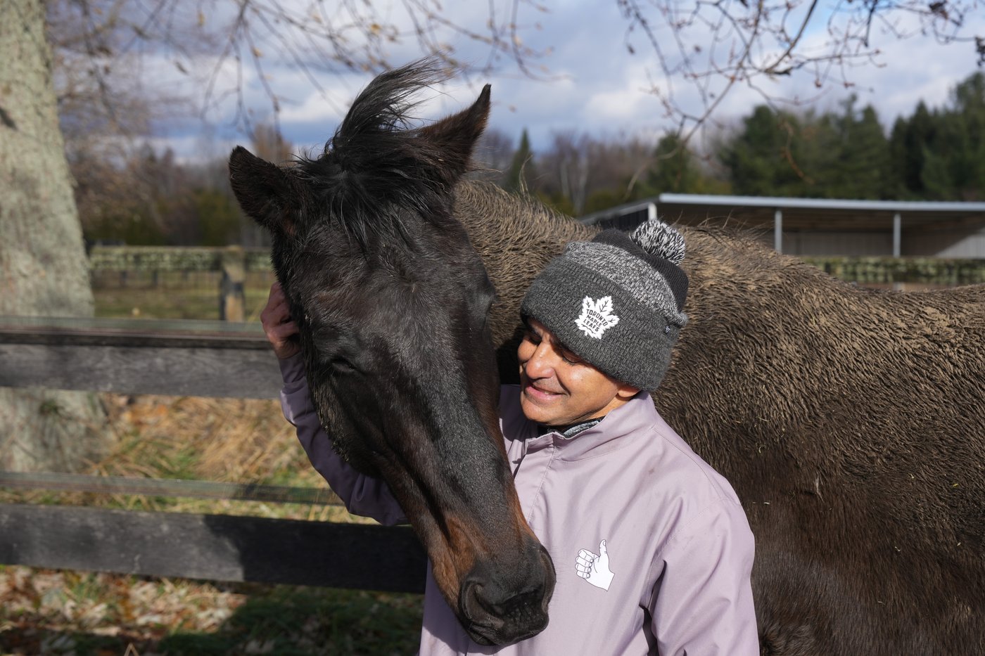 Photo gallery: Da Silva implementing horses into wellness program