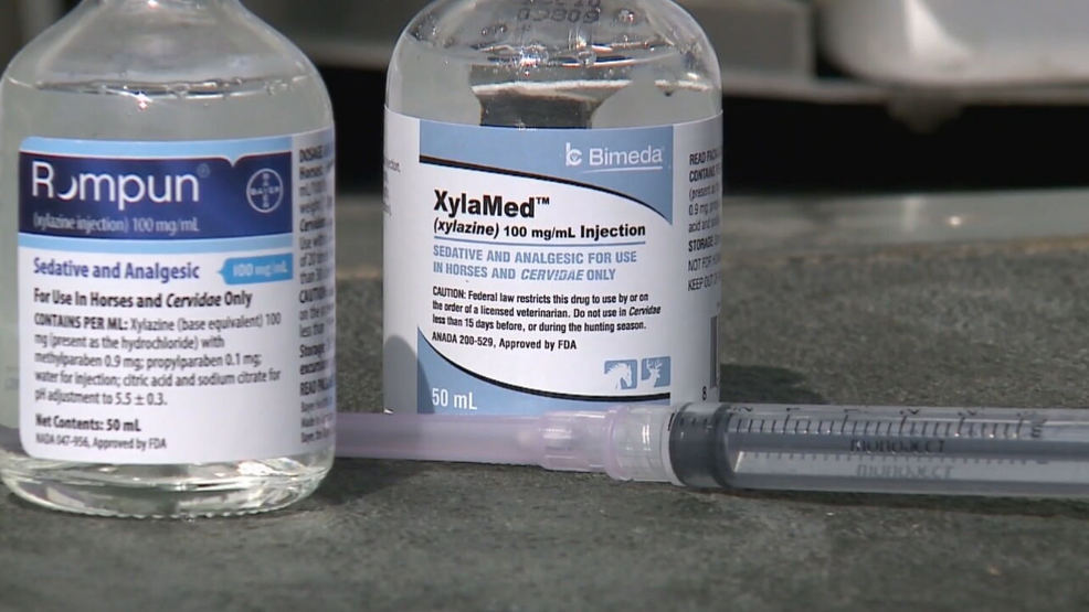 Officials warn of increase in use of animal-only sedative in Gallia ...