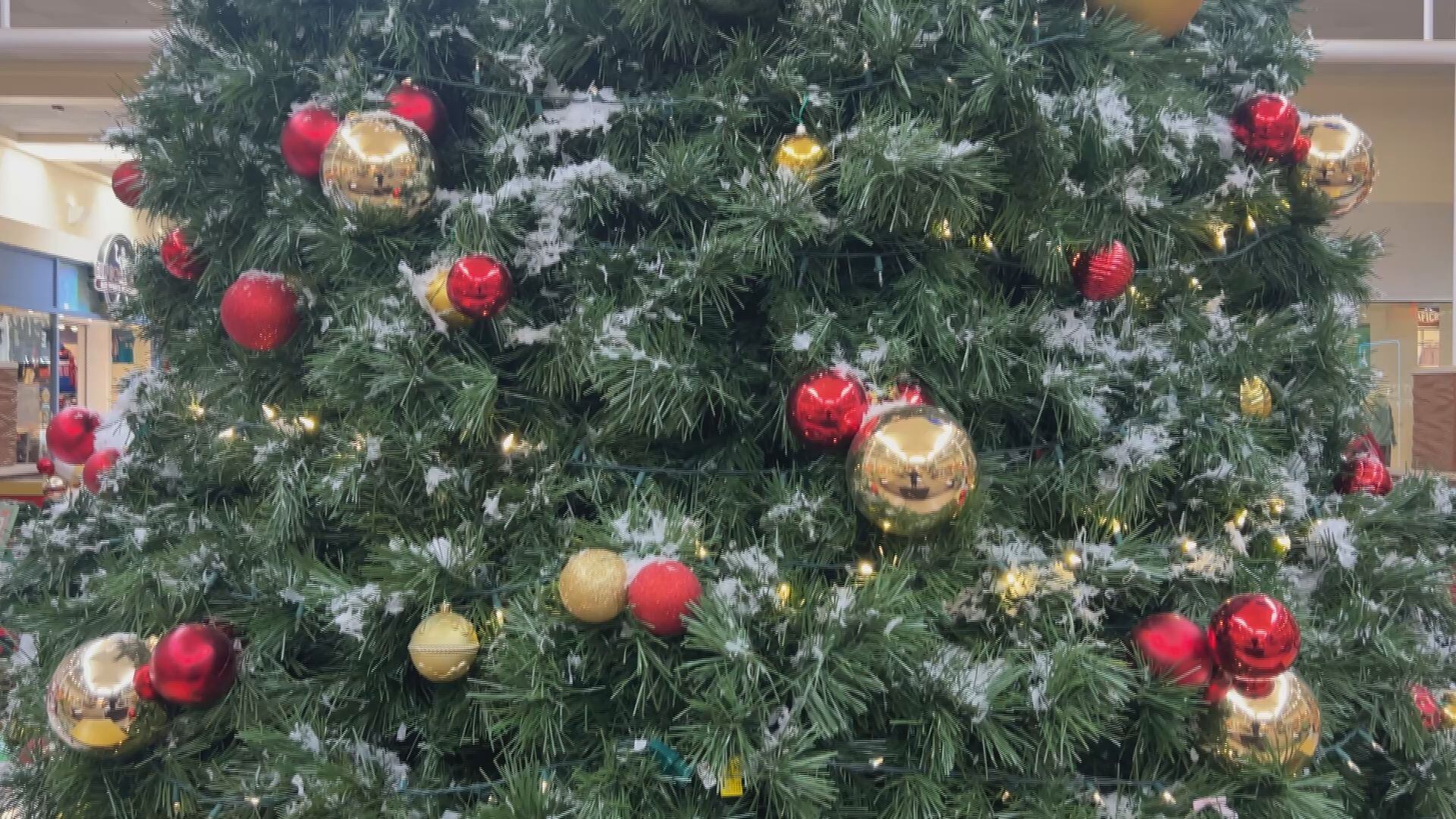 Gov. Evers, first lady share Christmas message encouraging kindness and ...