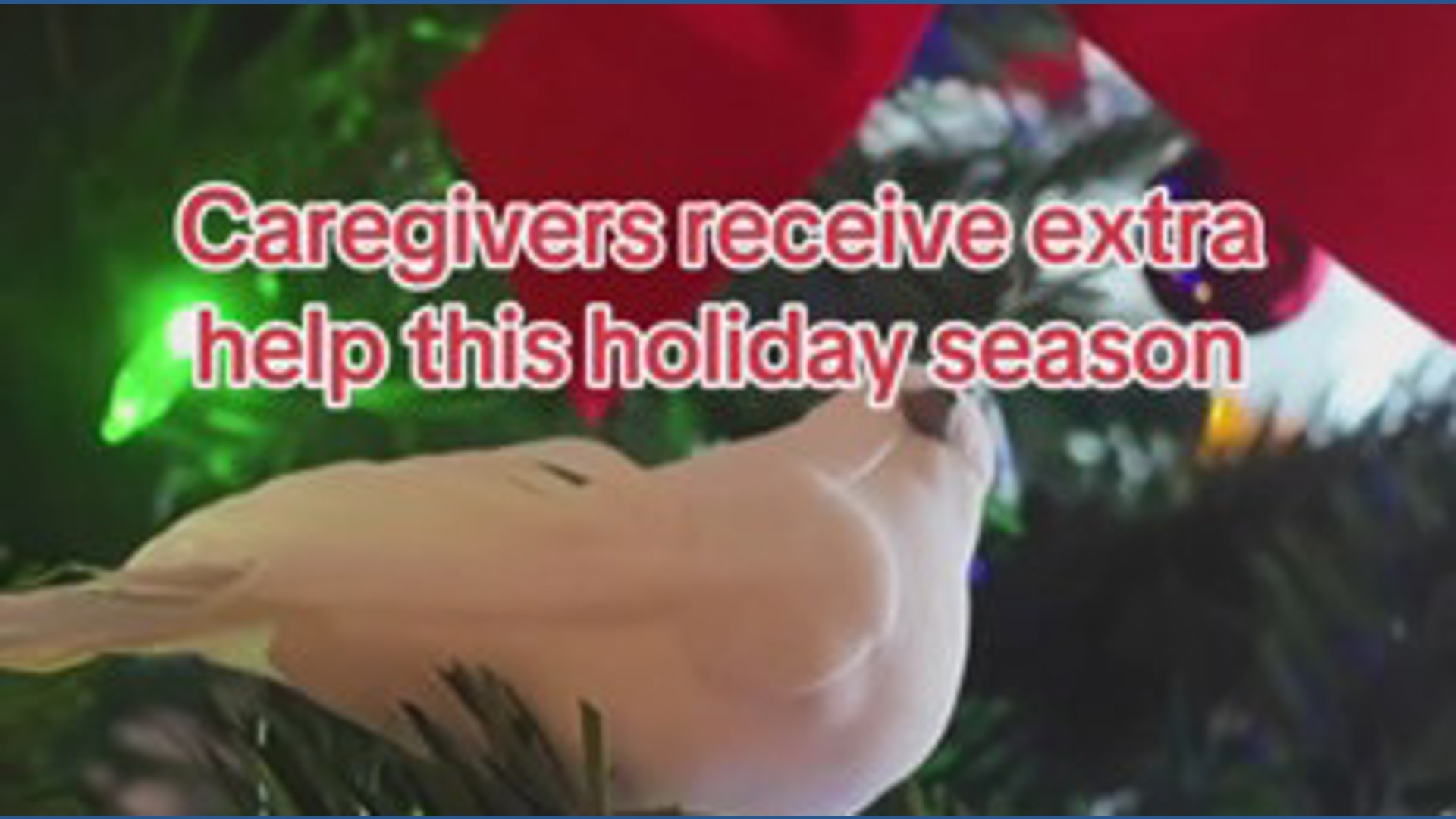 Organization aims to make seniors feel less lonely this holiday season