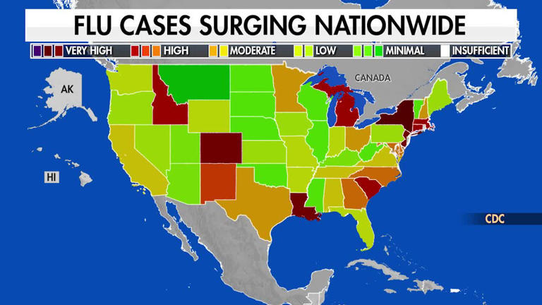 Flu, RSV cases on the rise in North Texas as Christmas approaches