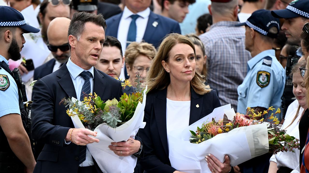 'No apology': Gun, protest laws pass on Christmas Eve