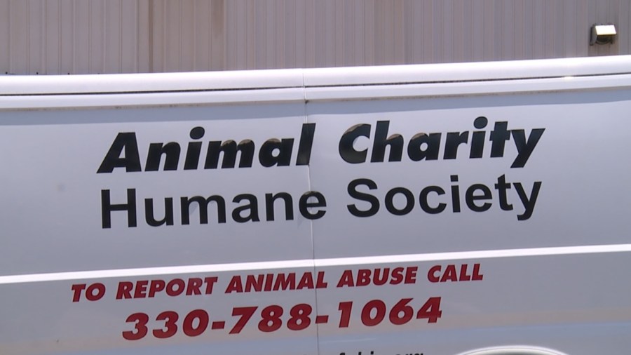 Animal Charity of Ohio caring for nearly 200 animals, asks community ...