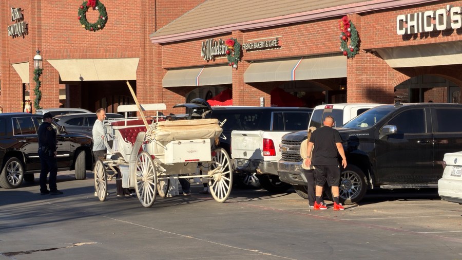 Kingsgate carriage ride crashes, no injuries reported
