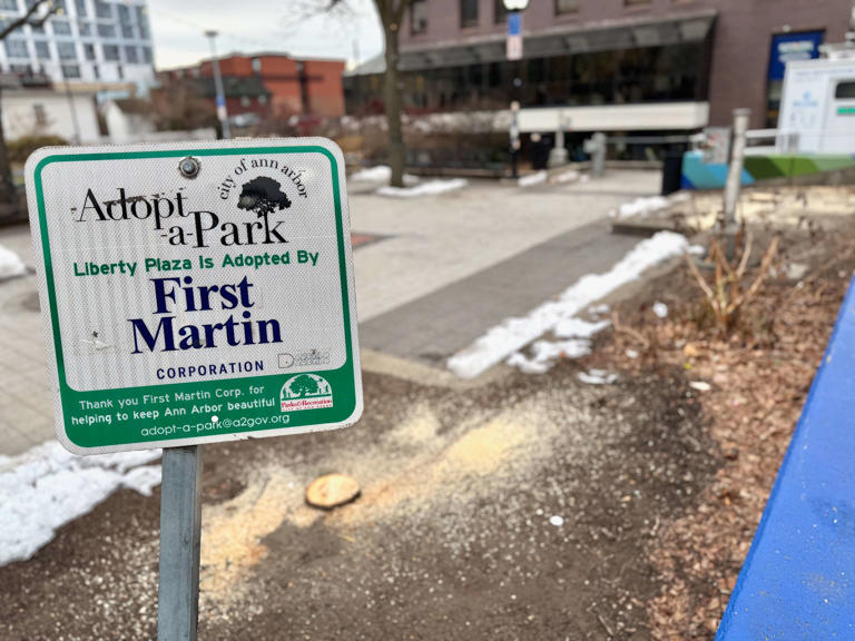 Trees down in Tree Town: Stalwarts of Ann Arbor’s Liberty Plaza reduced ...