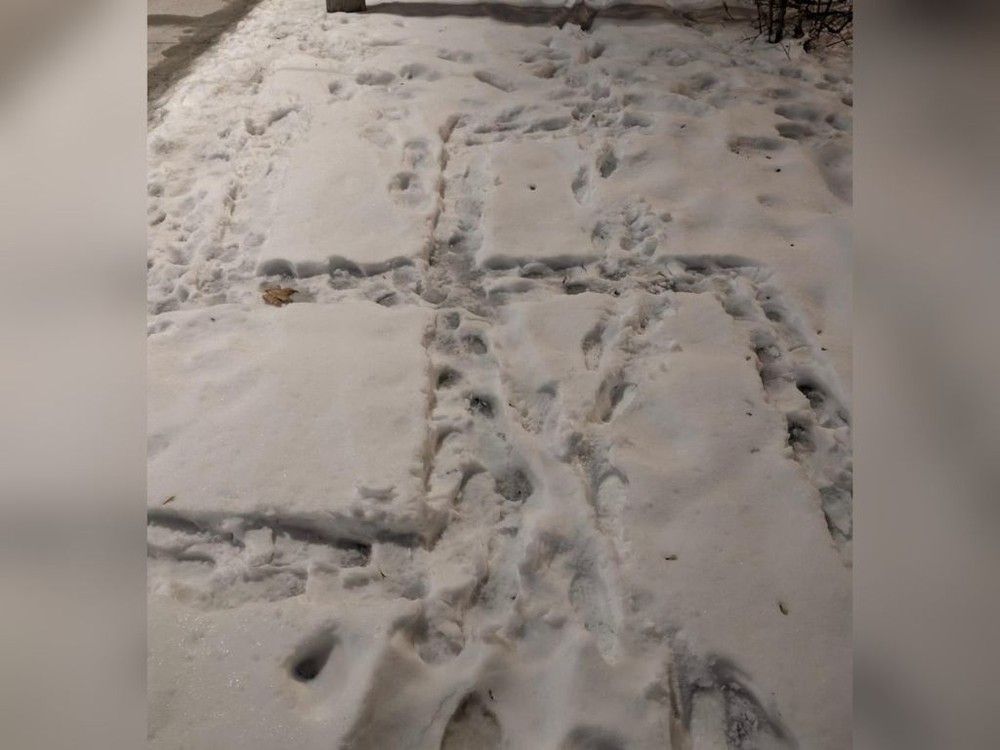 Swastika traced in the snow on front lawn of Jewish couple's home