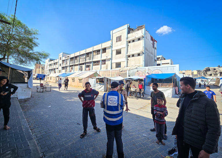 Charity to expand work to clear explosives in Gaza amid 'immense ...
