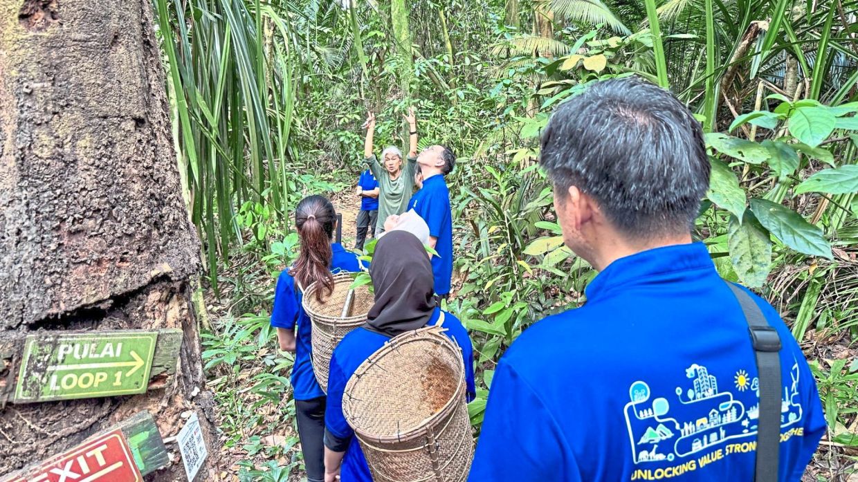 Celebrating rewilding initiative’s path to urban forest protection