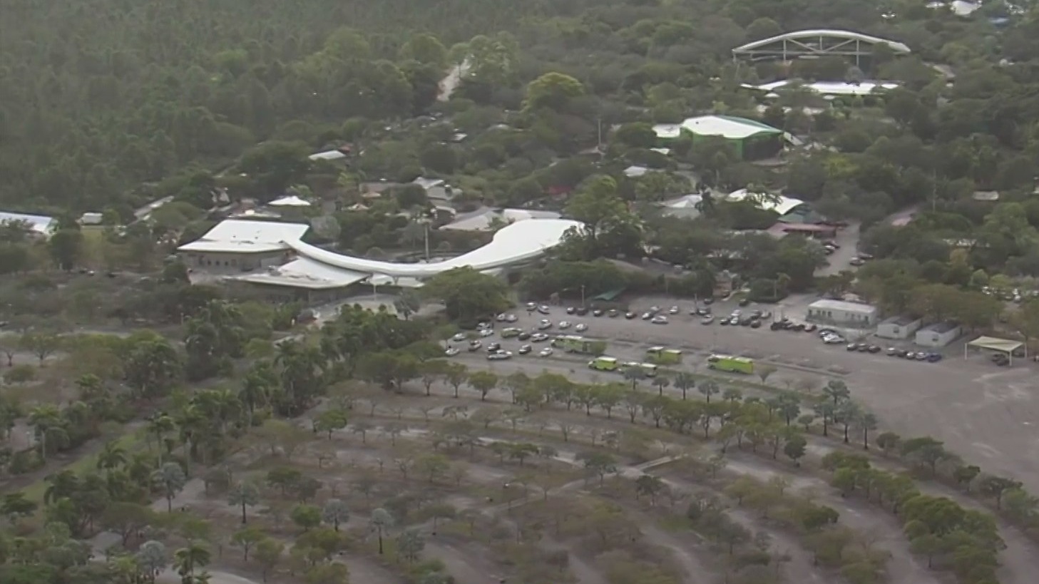 Zoo Miami reopens after emailed bomb threat deemed not credible
