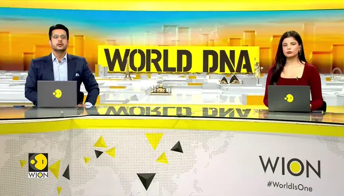 UK to ban boiling lobsters alive under animal cruelty reforms