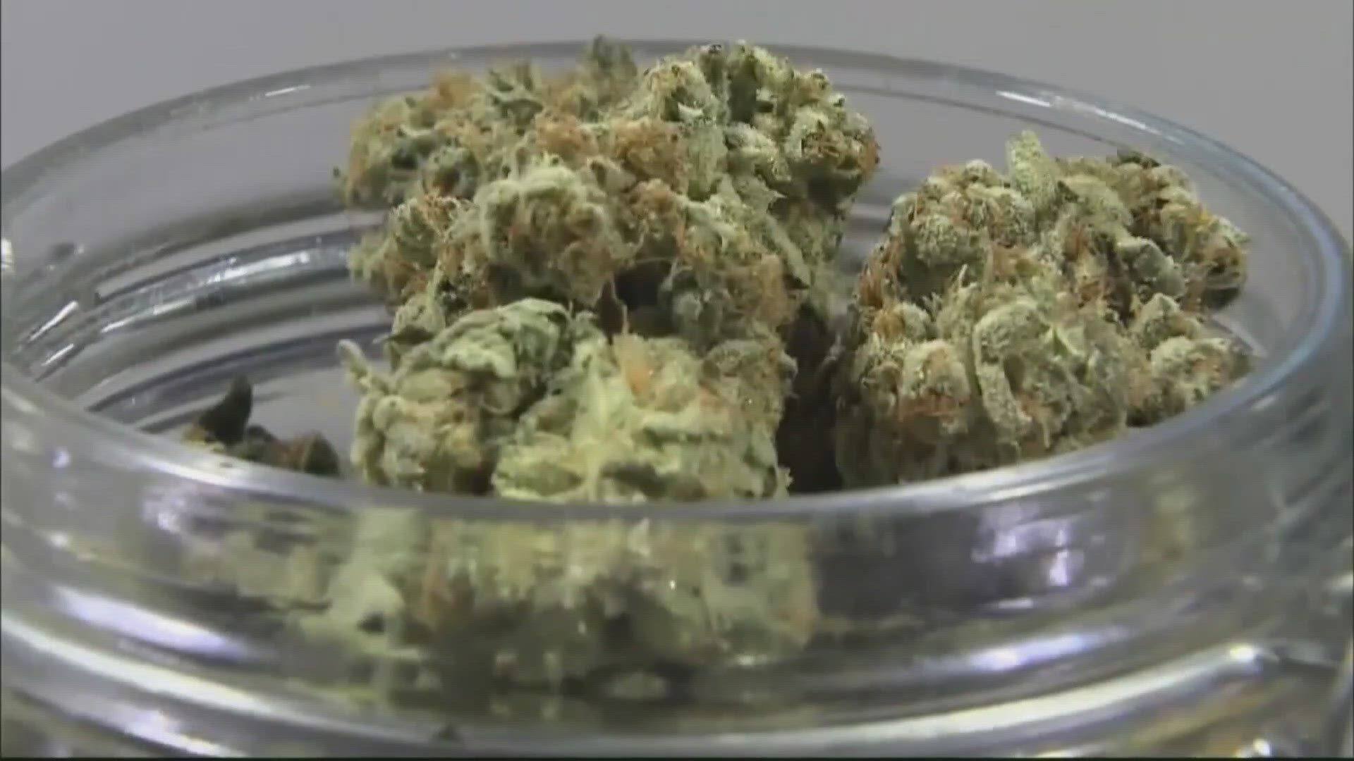 Businesses react to Trump's executive order on marijuana reclassification