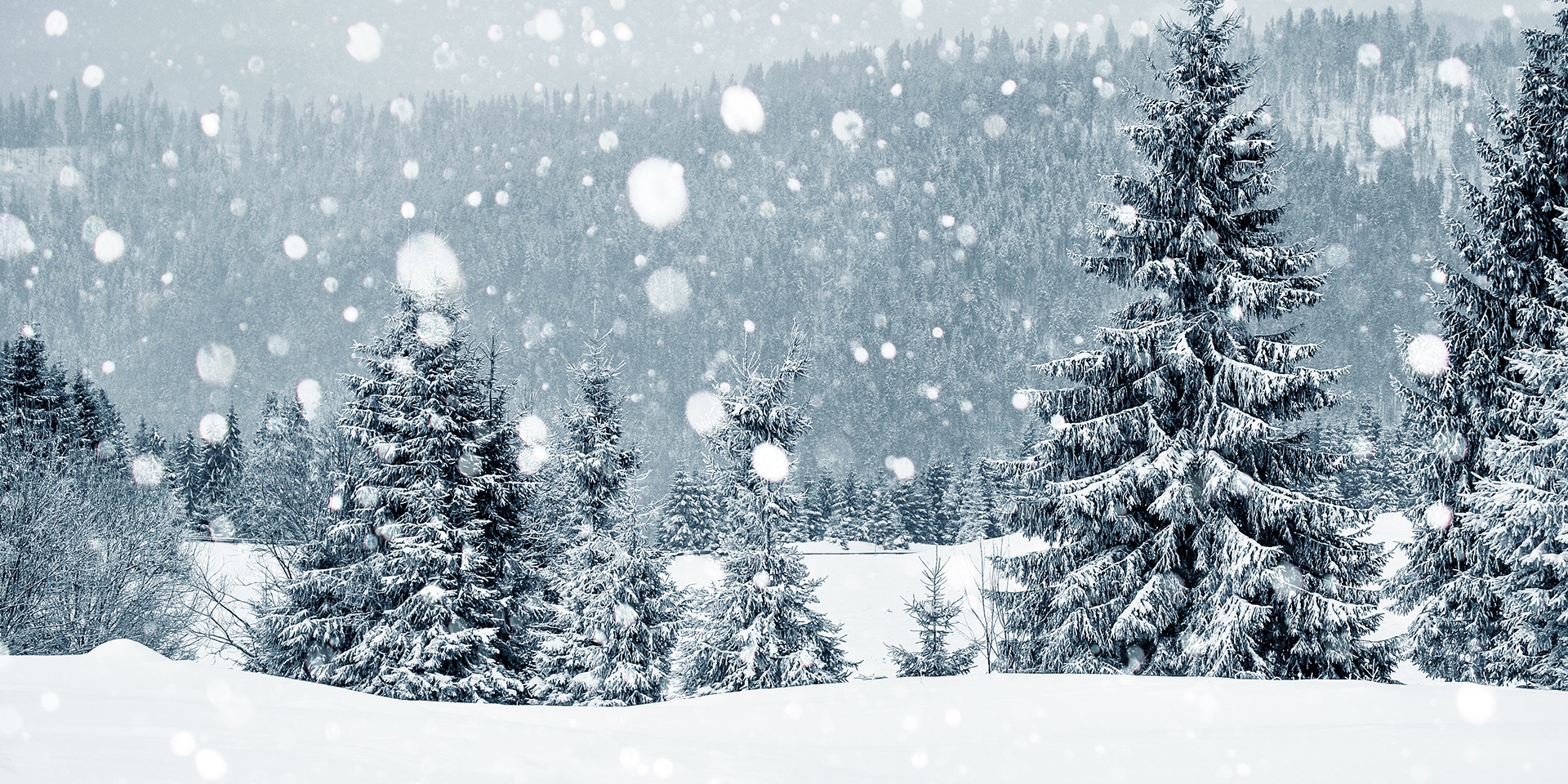 Met Office daily weather: Will it be a white Christmas?