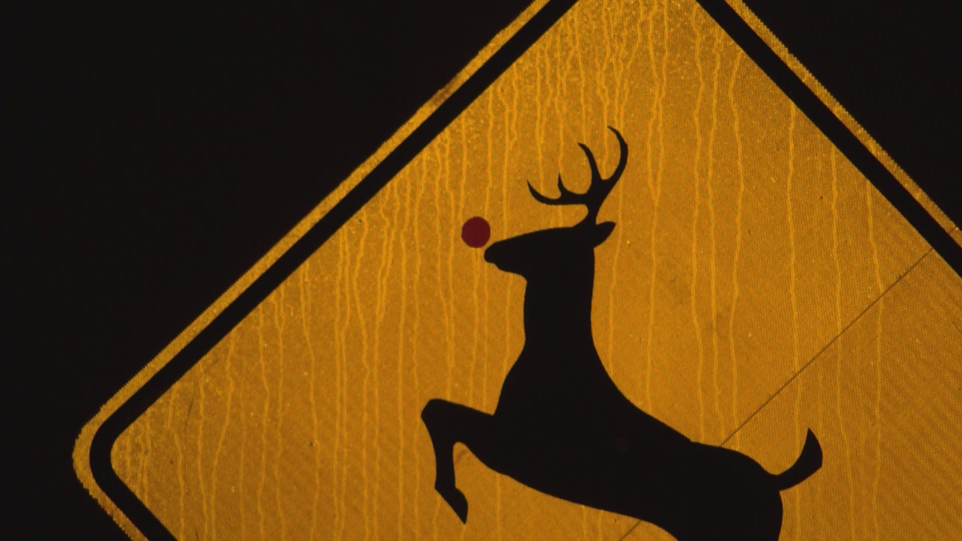 Riddle of the roadside reindeer | 28/22 News