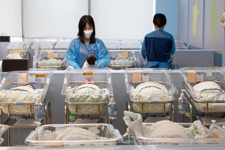 Births surge 16 months as second echo boom generation enters ...