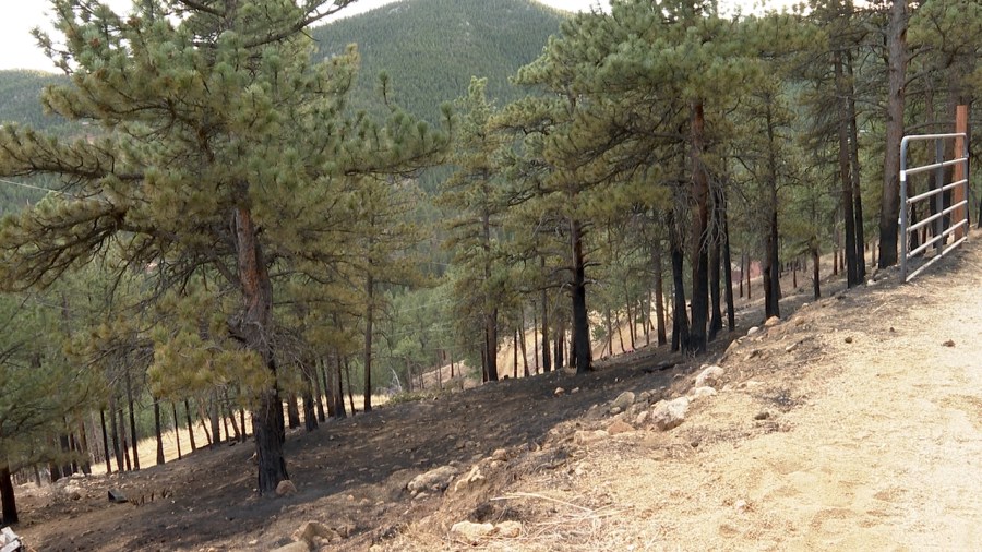 Wild Turkey Fire contained hours after crews were dispatched, residents ...