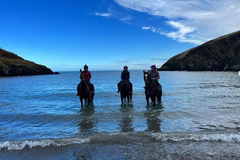 Welsh rugby star forced to quit game reshapes his life in very ...