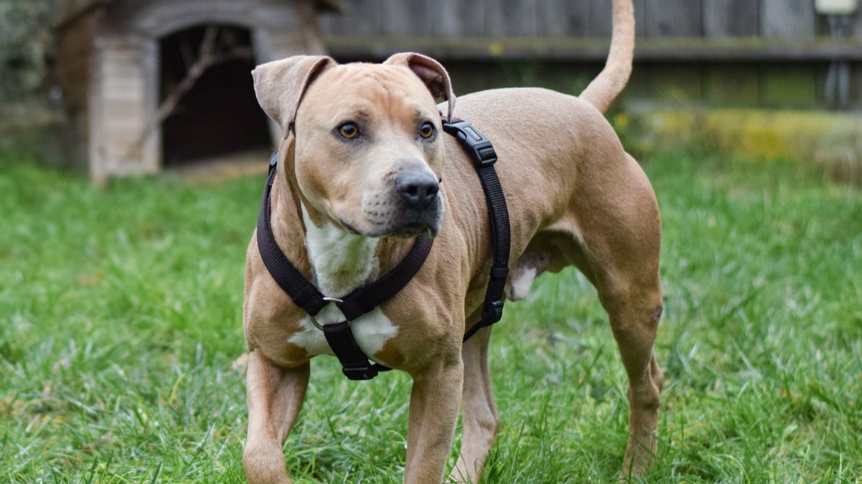 "Beni" will doch einfach nur lernen und lieb haben