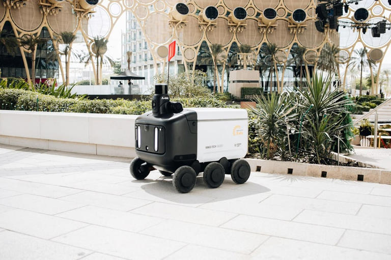 How AI services are shaping daily life in the UAE