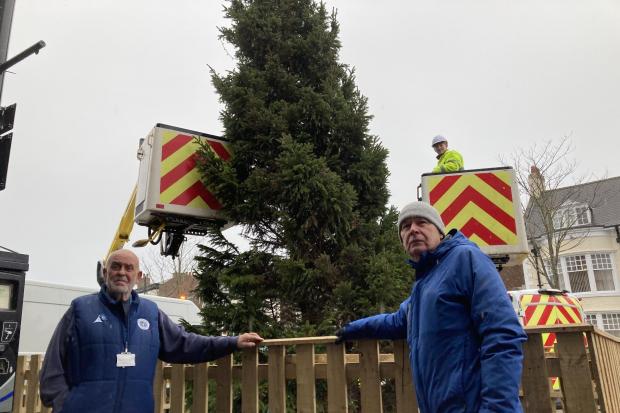 'Half-dead' Christmas tree would have cost almost £1.5k if it wasn't ...