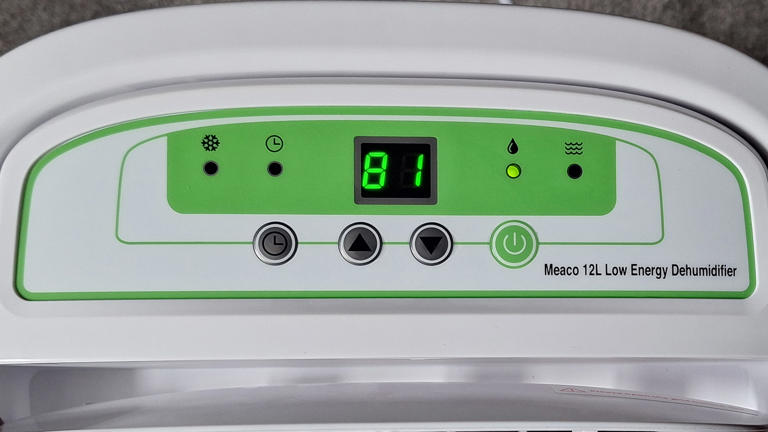 What moisture level should I set my dehumidifier at? Plus 4 more tips ...