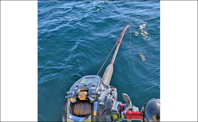 「浅場9mで訪れたチャンスをものに!」伊良湖沖の泳がせ釣りでヒラメ2匹手中【愛知】