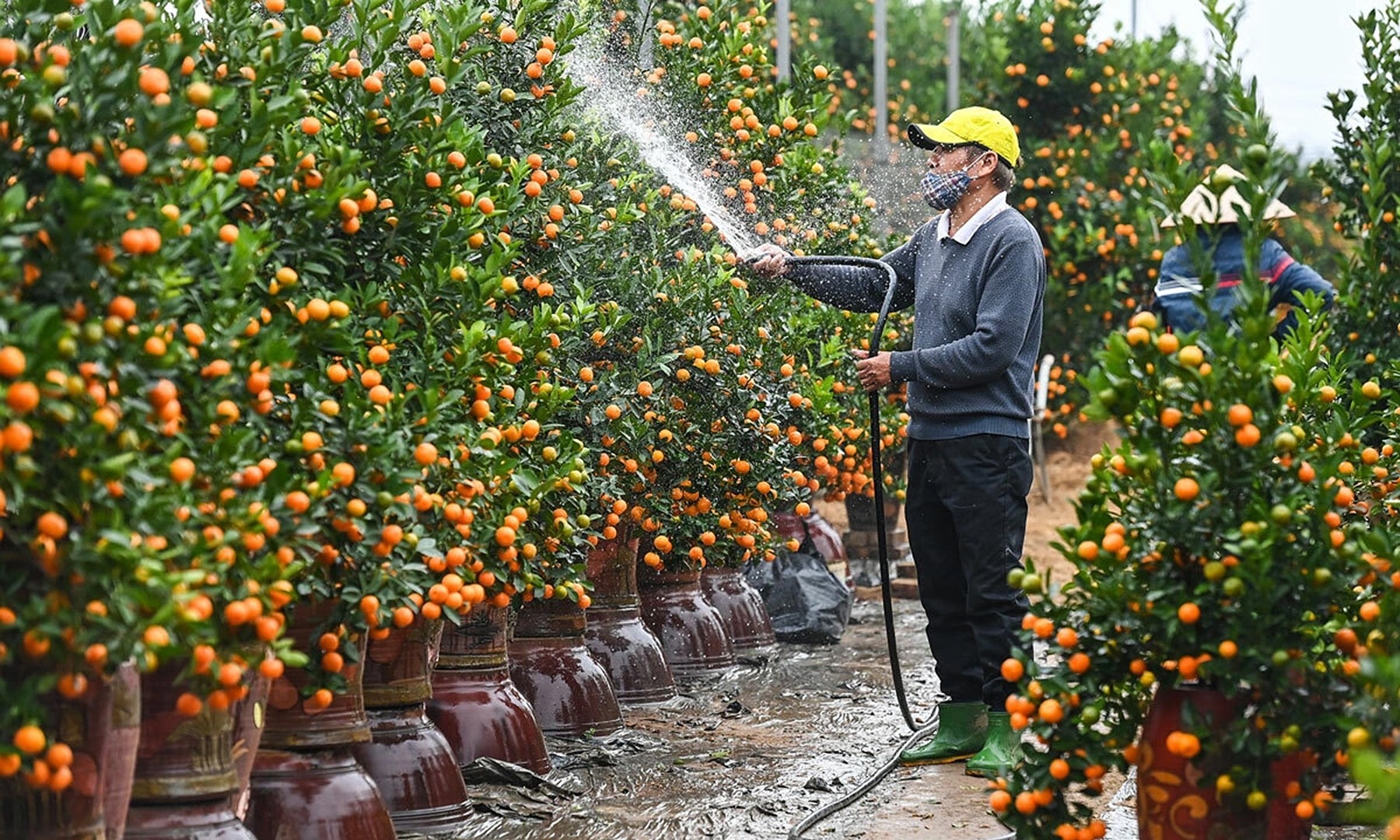 Vietnam proposes 4-day New Year break to boost travel and spending