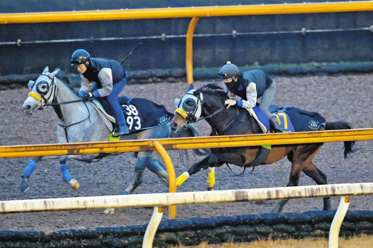 【有馬記念・追い切り】栗東CWで併せたマイネルエンペラーは7F98秒5―37秒9―11秒3、最後は馬なり同入 山田正助手「余力もあっていい動き」