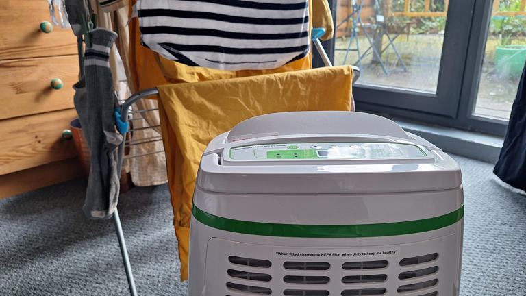 What moisture level should I set my dehumidifier at? Plus 4 more tips ...
