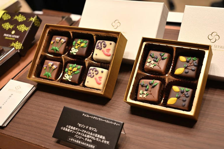 【史上最速】阪急バレンタインチョコレート博覧会2026。160ブランドが早くもオンライン販売スタート!お披露目会潜入レポート