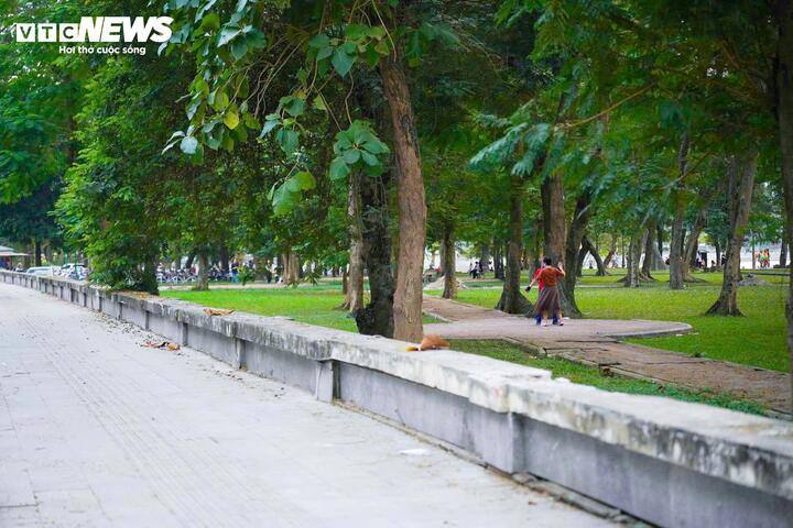 Cảnh mới lạ tại Công viên Thống Nhất sau khi hạ toàn bộ hơn 2km hàng rào