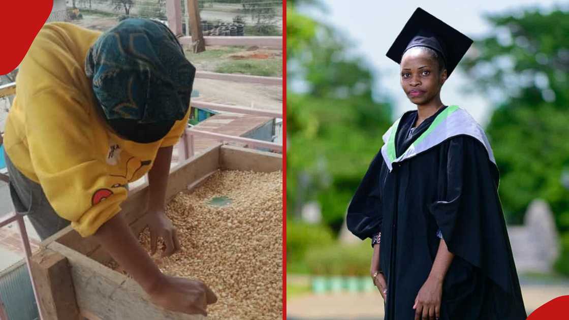 Jobless Egerton University graduate puts academic papers aside, builds ...