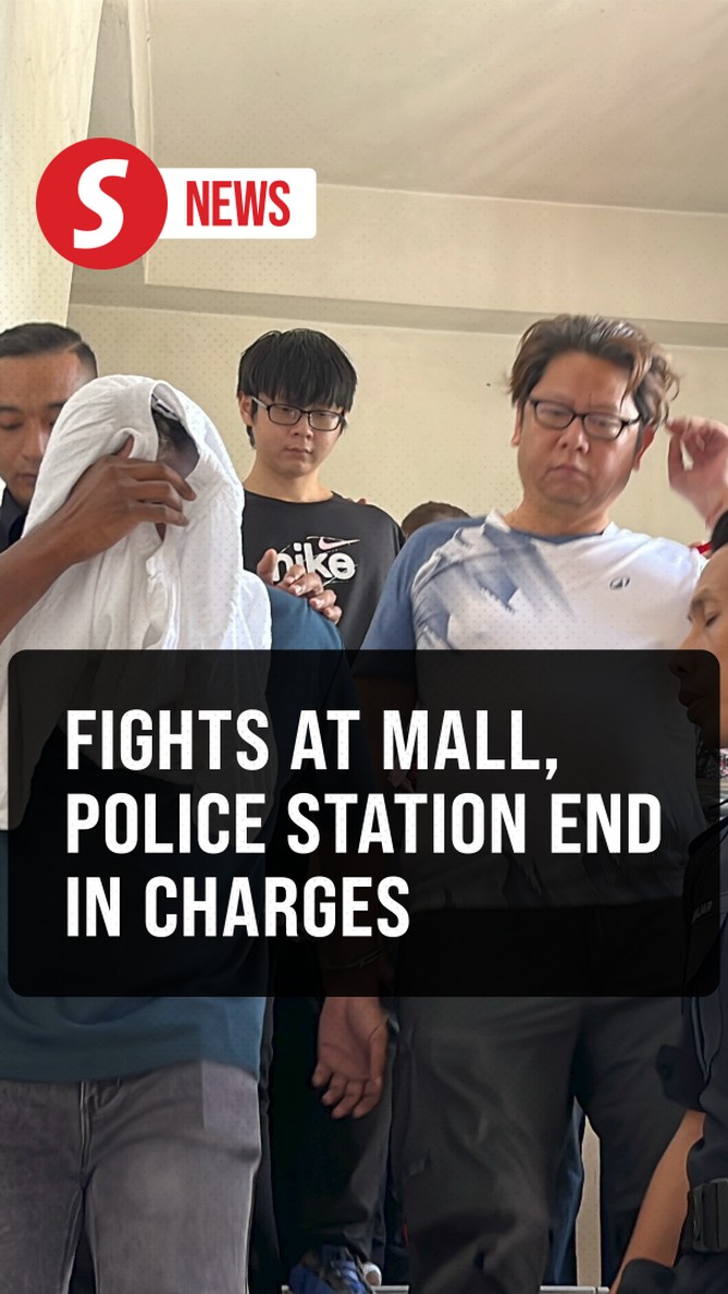 Singaporean artist, family of three charged over Johor mall brawl