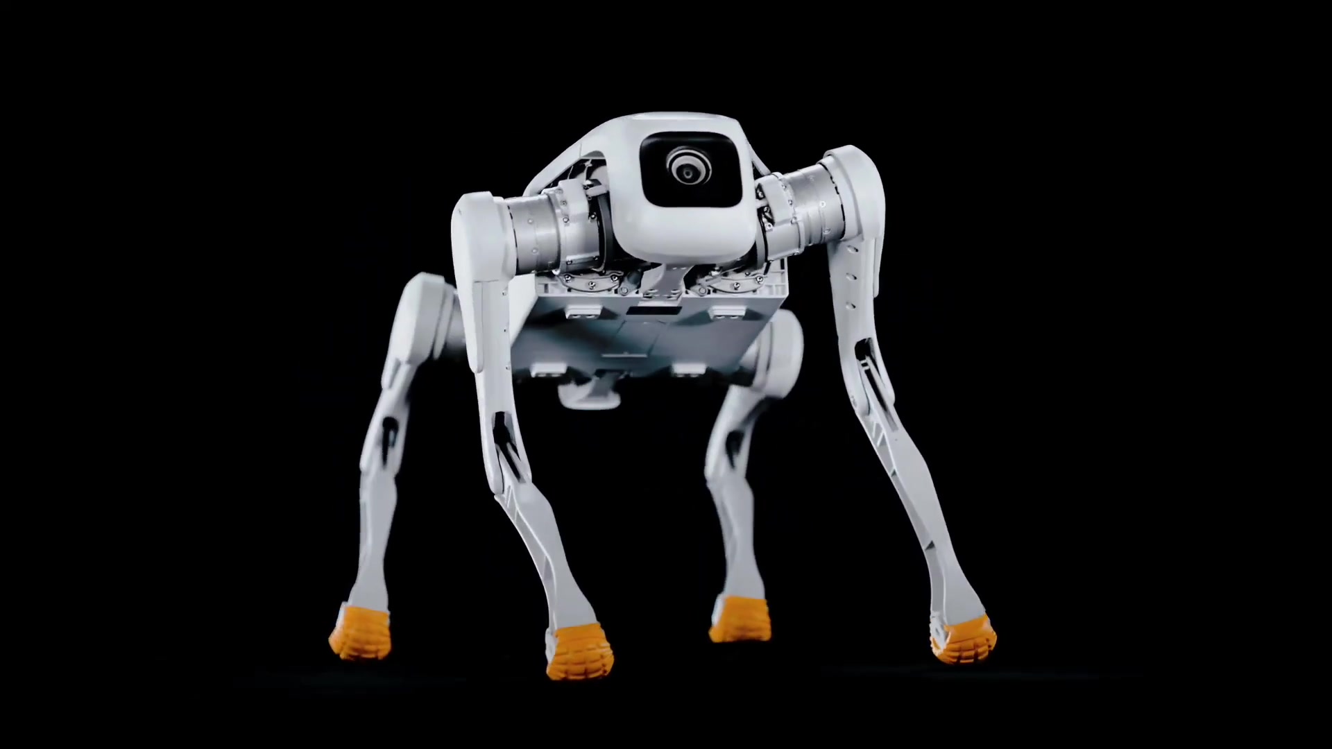 AGIBOT D1 Pro/Edu 3.5m/s all-terrain quadruped robot all-rounder for ...