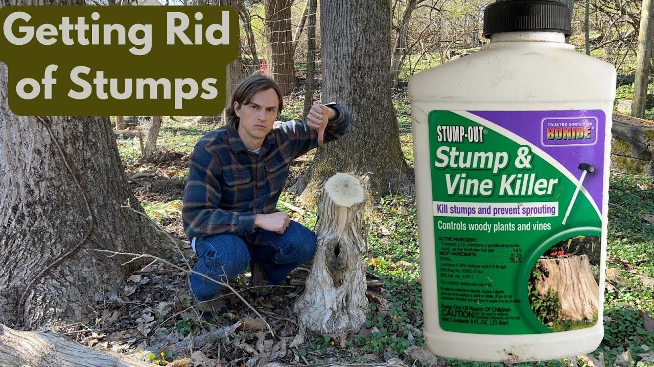 How to get rid of old stumps using stump & vine killer
