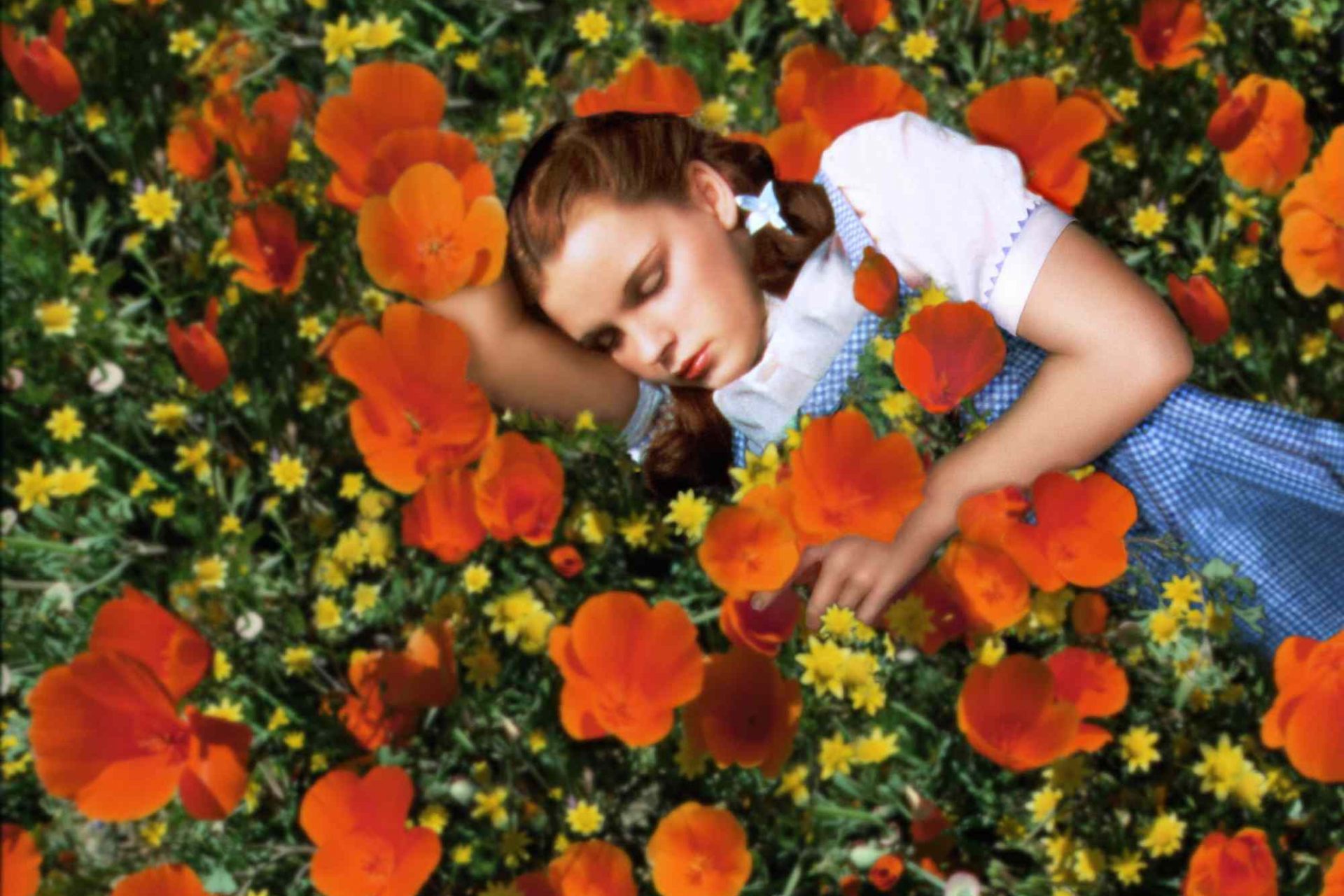 'The Wizard of Oz' and 'Wicked' have their origins in the books