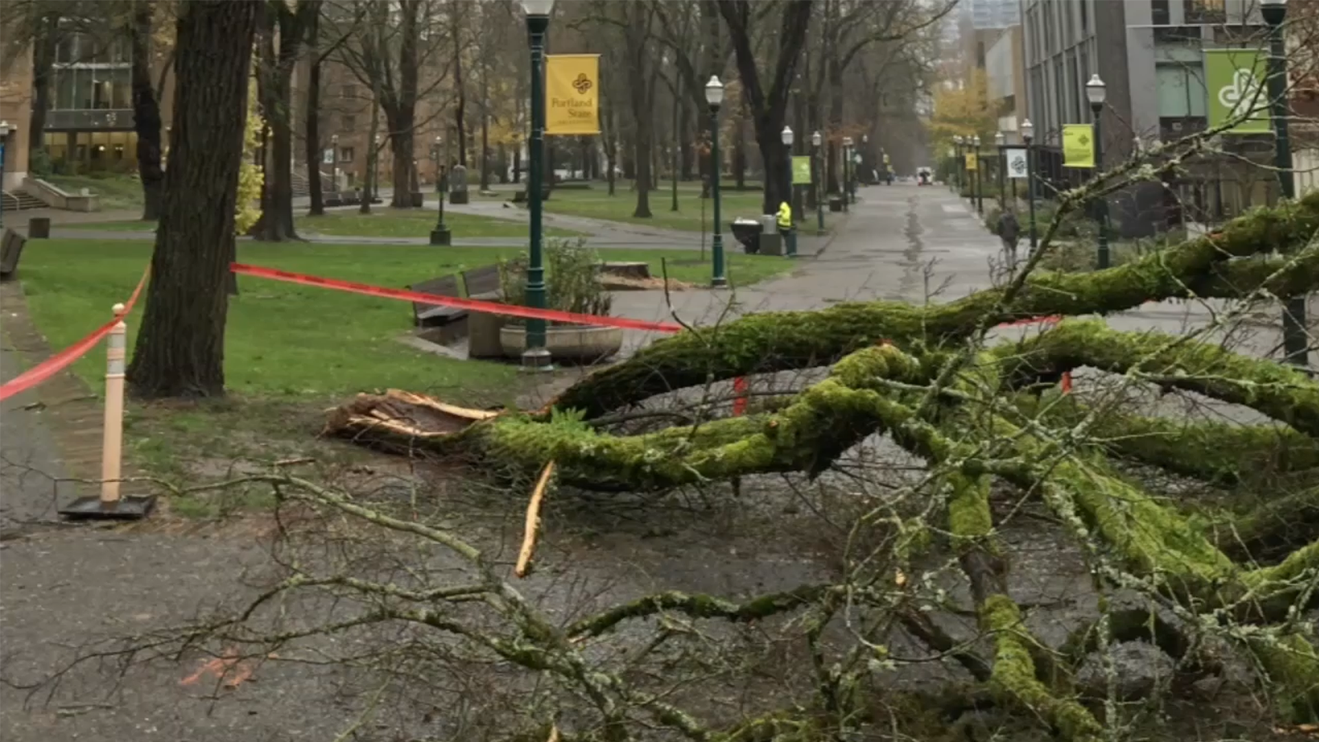 Tualatin locals prepare for possible windstorm after last week’s storm ...