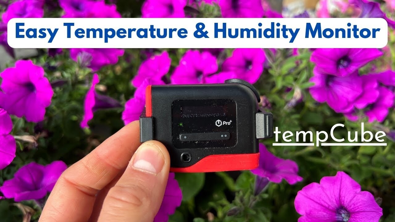 TempCube - temperature & humidity monitoring system - greenhouses ...