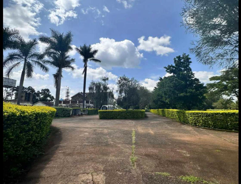 Nelly Oaks shares humongous home Moi-era PS Hezekiah Oyugi built: "My ...