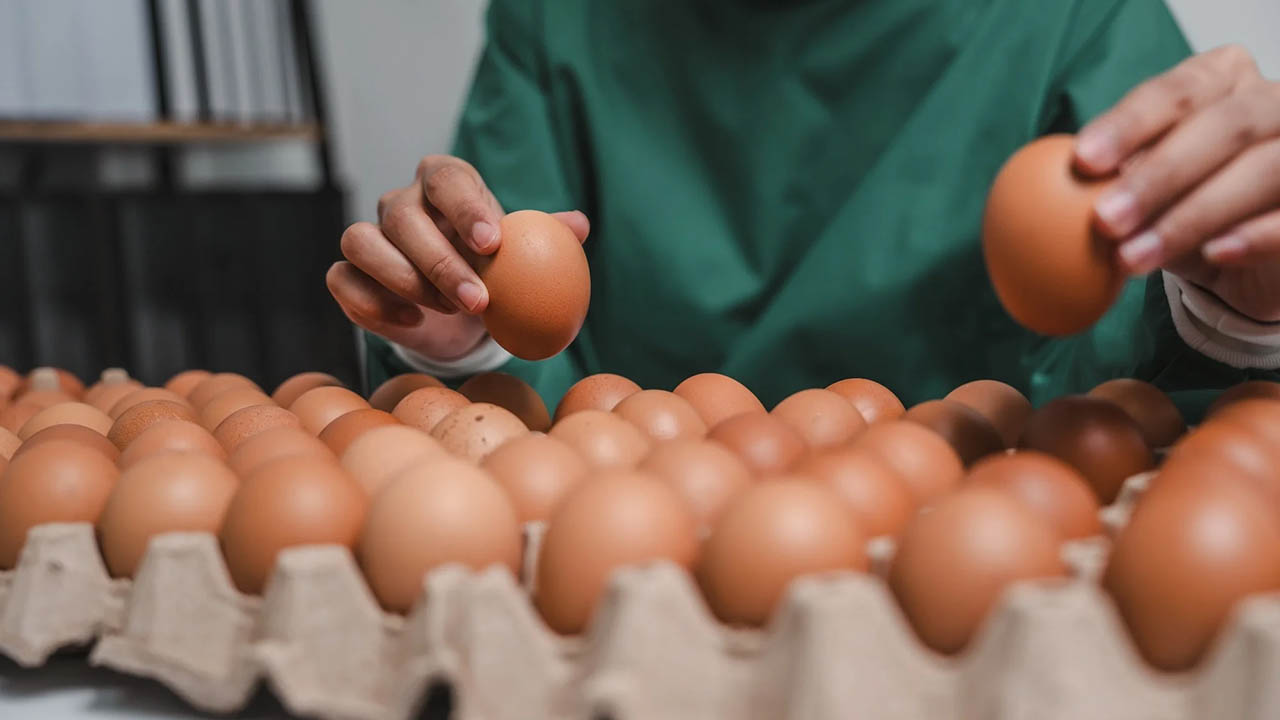 Recall alert: Salmonella outbreak linked to eggs leaves 63 ill and 13 ...