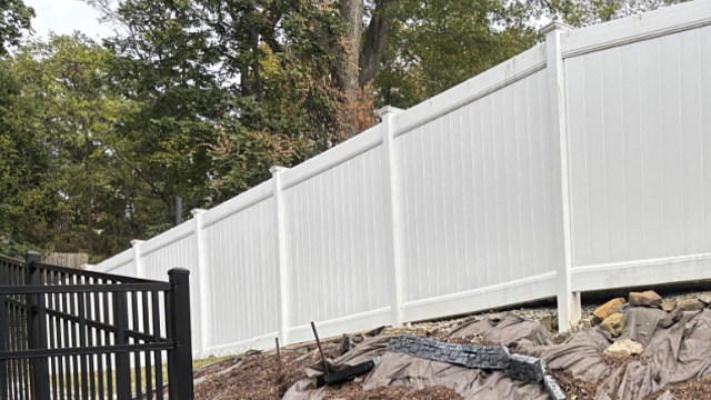 Homeowner warned after sharing photo of concerning landscaping ...