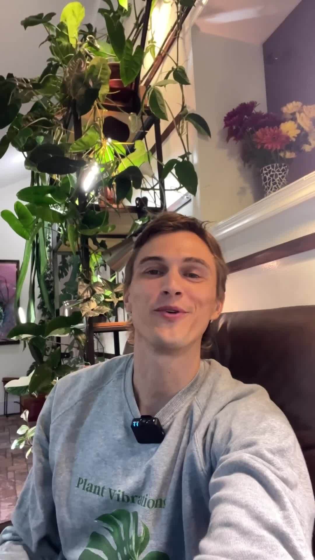 Plant Vibes Plant Shop is now open! #plantshopping #youtubeshorts # ...