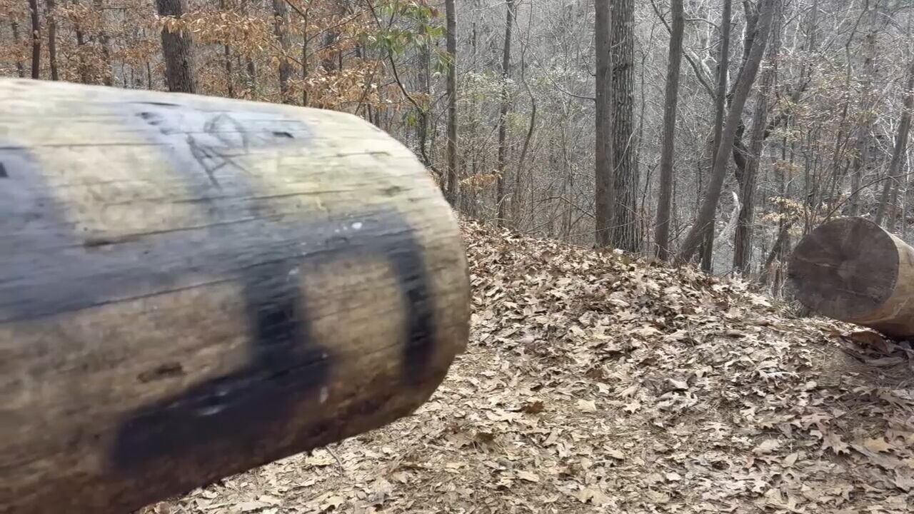 Swastikas spray-painted on walking trail in popular Roswell park