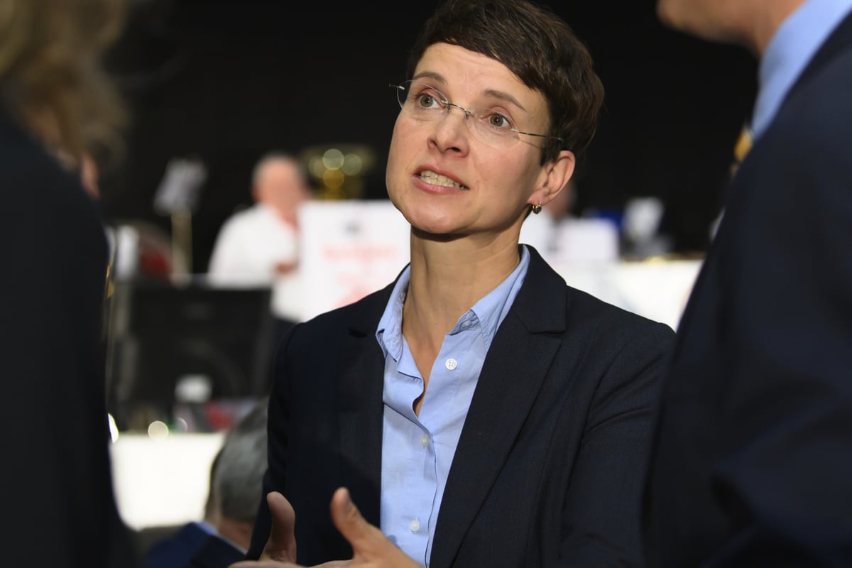 Frauke Petry: Ex-AfD-Chefin will neue Partei gründen