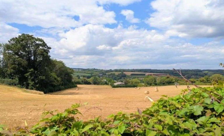 Chartham villagers object to Canterbury City Council local plan ...