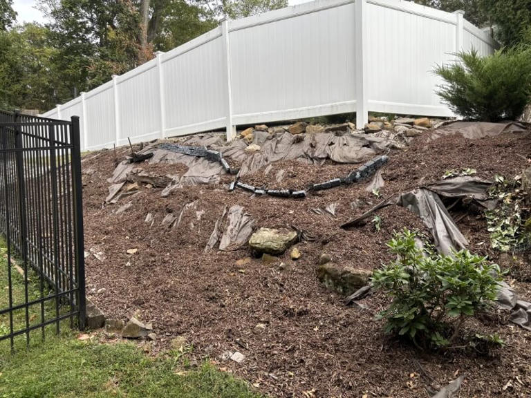 Homeowner warned after sharing photo of concerning landscaping ...