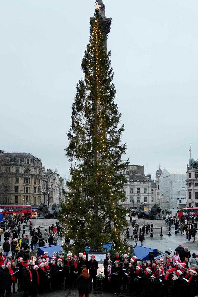 Z londyńskiej choinki śmieje się świat. Tak wygląda w tym roku